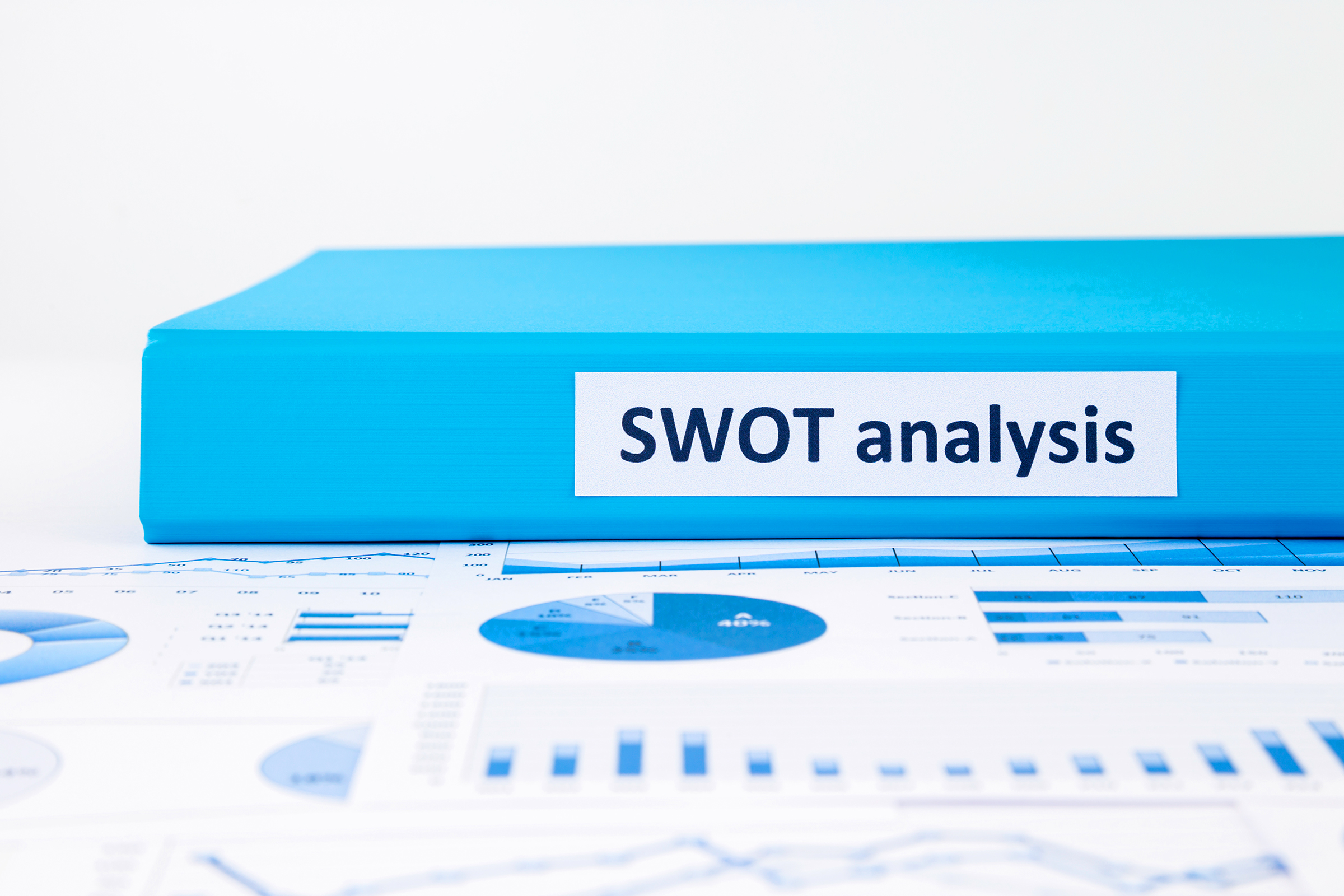 Swot Analysis Conclusion And Recommendations Example