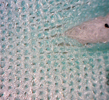 Troubleshooting Textiles: What Causes Pilling? Redeposition? Shrinkage ...