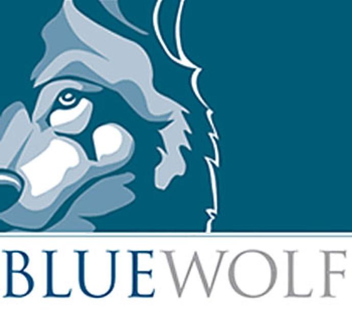 Blue Wolf Wins Small Market Deal Award for HLS Investment | American ...