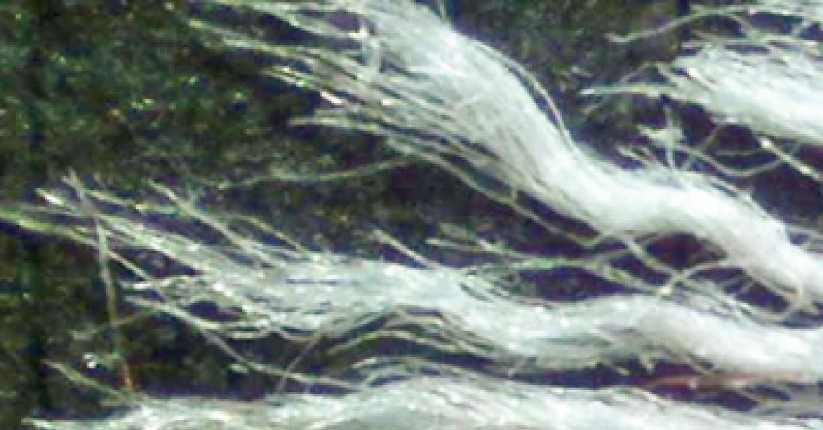 Troubleshooting Textiles: What Causes Pilling? Redeposition? Shrinkage ...